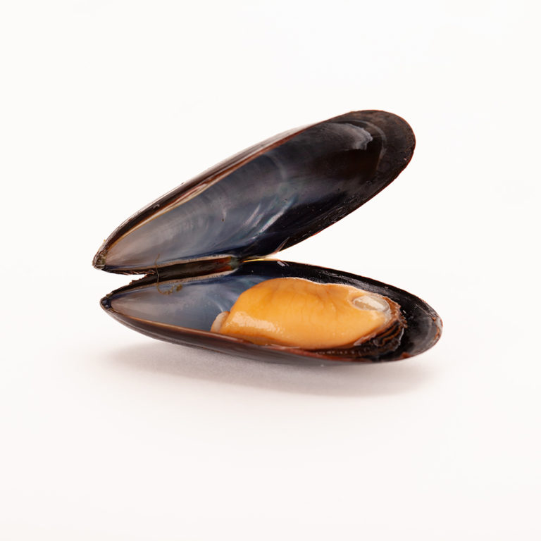 Green Seafoods Ltd. | Canadian Seafood Producers